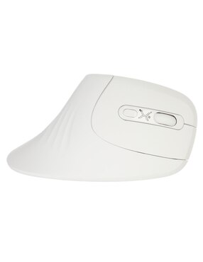 Mouse inalámbrico Perfect Choice